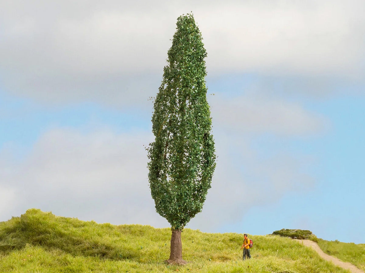 Noch 20130 Poplar Master Tree 18cm - OO / HO Scale — Model Railway ...